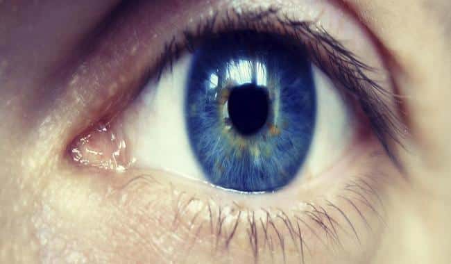 Novartis sees bright future for eye unit - Daily Ausaf