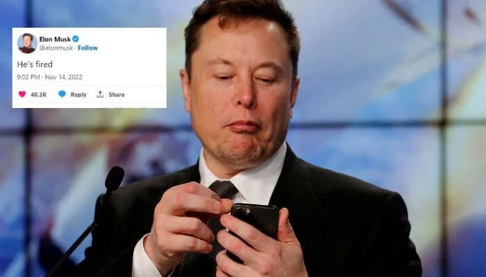 Elon Musk fires developer on Twitter after he questioned chief's ...