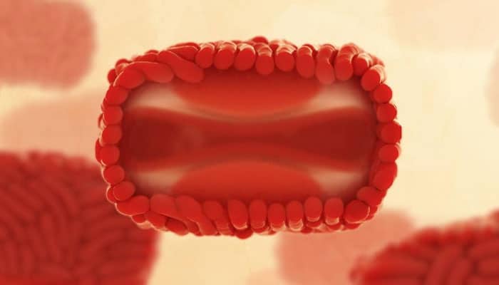 Monkeypox to be renamed mpox: WHO - Daily Ausaf