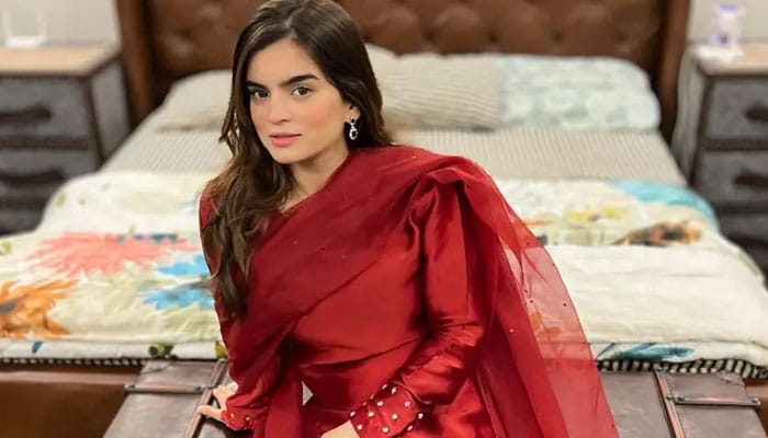 Aliza Sultan opens up about life after divorce - Daily Ausaf