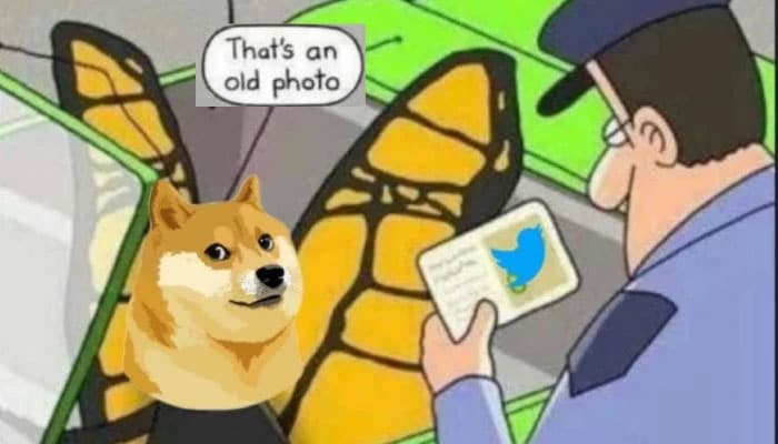 Elon Musk changed Twitter logo to Dogecoin but why?