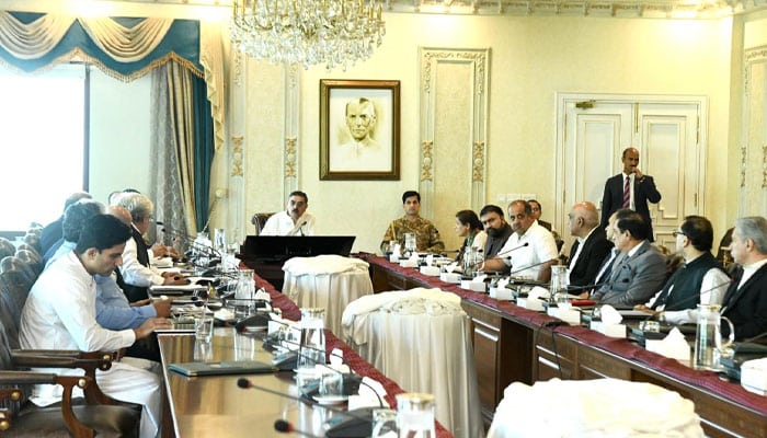 Federal Cabinet Approves Military and Security Forces Deployment for ...