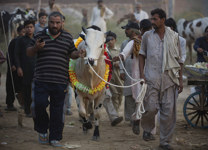 Eidul Adha 2026: Goat, bull prices surge across Pakistan - Daily Ausaf