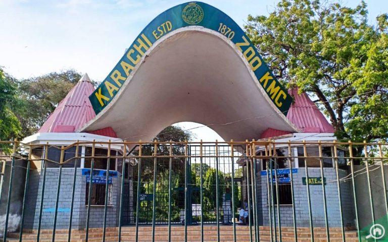 Karachi Zoo timings and ticket price update for July 2024 - Daily Ausaf