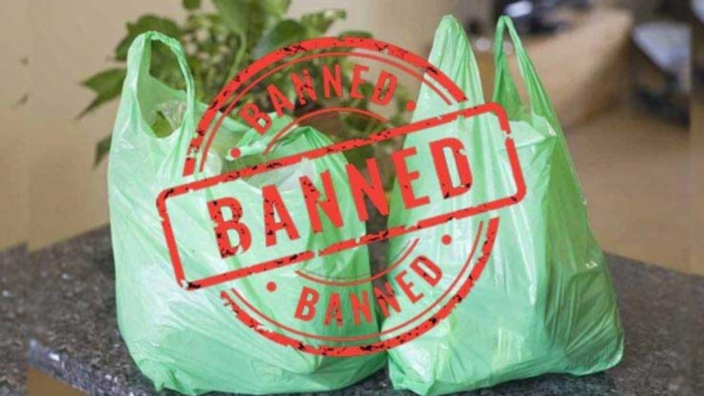 Sindh imposes complete ban on plastic bags, including Karachi - Daily Ausaf