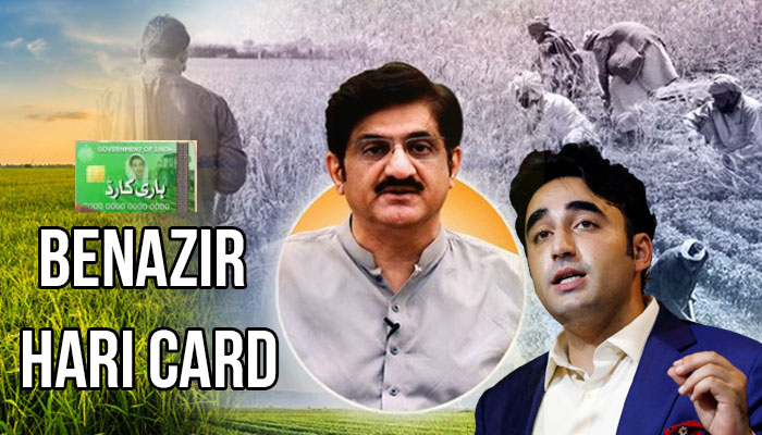 Sindh govt launches ‘Benazir Hari Card’ aimed to provide cash ...