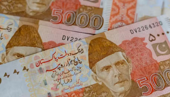 SBP seals NBP branch over fake currency notes - Daily Ausaf
