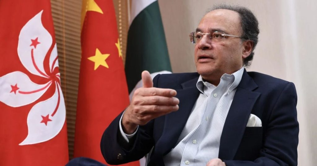 Pakistan eyes Panda bonds debut by this year: FinMin - Daily Ausaf