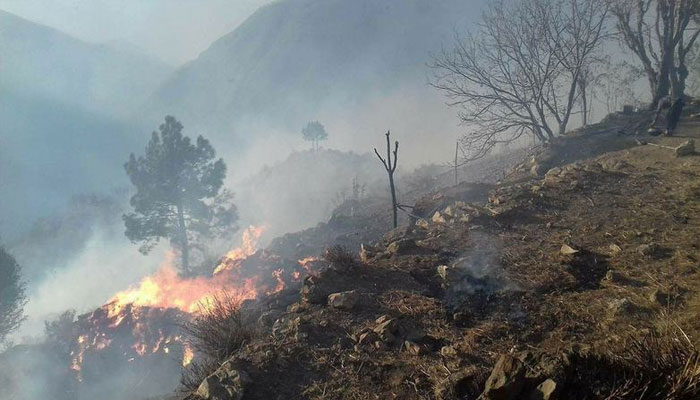 Massive forest fire devastates Abbottabad's Galyat region - Daily Ausaf